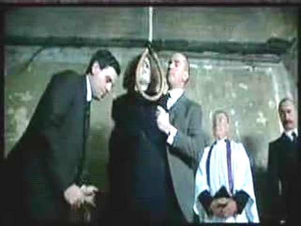 Themiscollection Execution