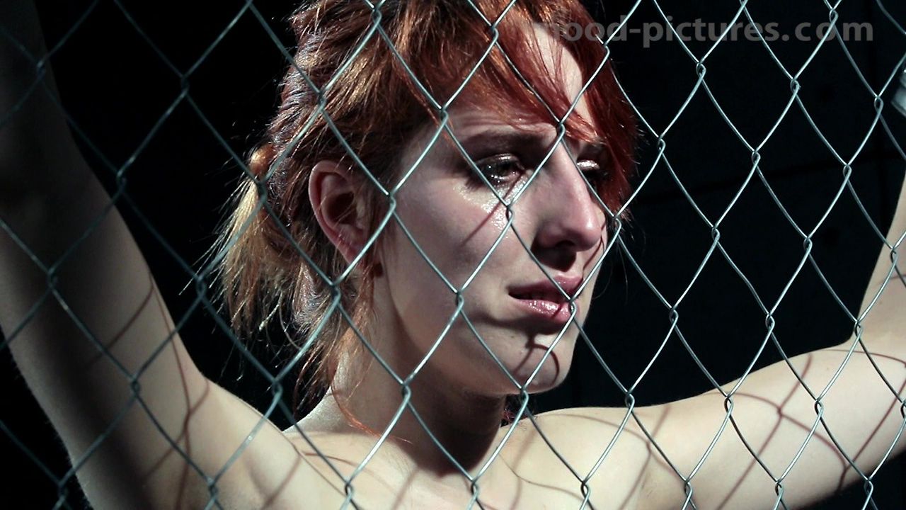 Mood Pictures - The Milgram Experiment 4 - ThemisCollection