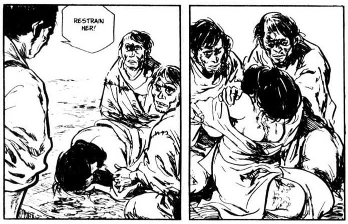 Samurai - ThemisCollection