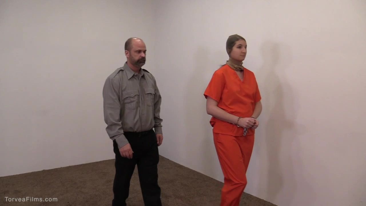 Torvea - ThemisCollection