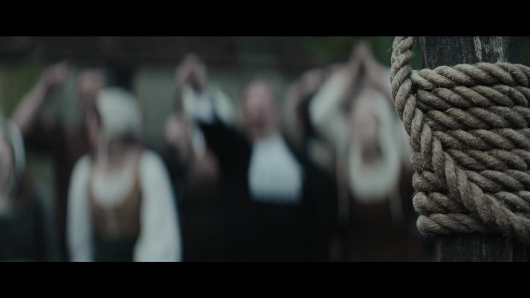 Witches - ThemisCollection