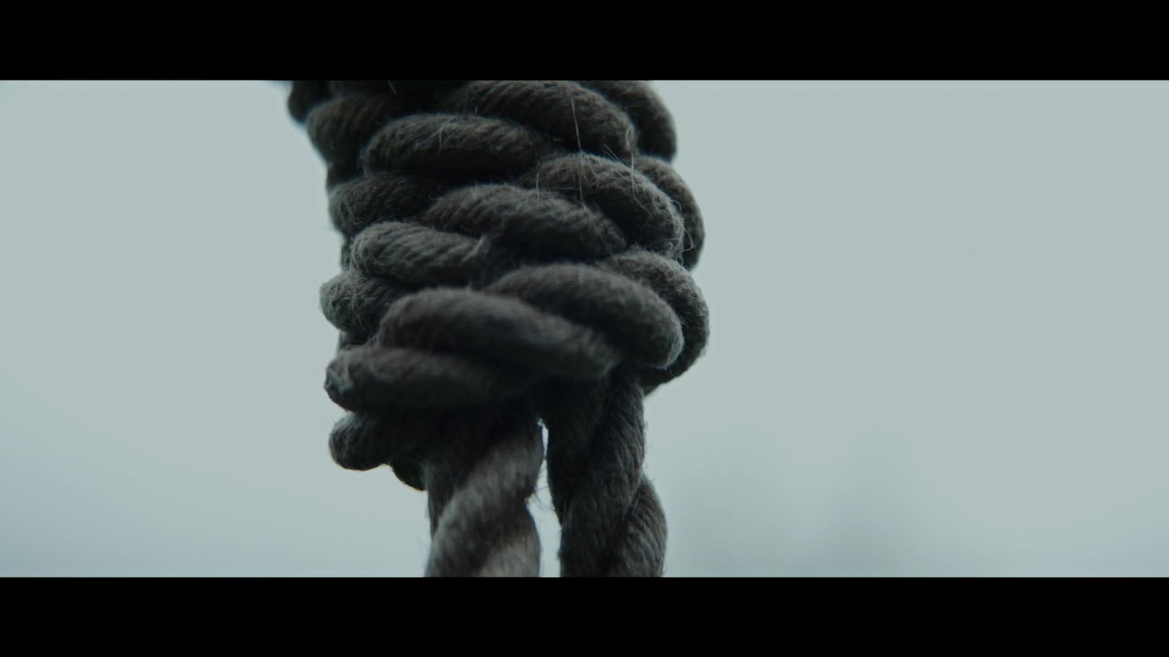 Witches - ThemisCollection