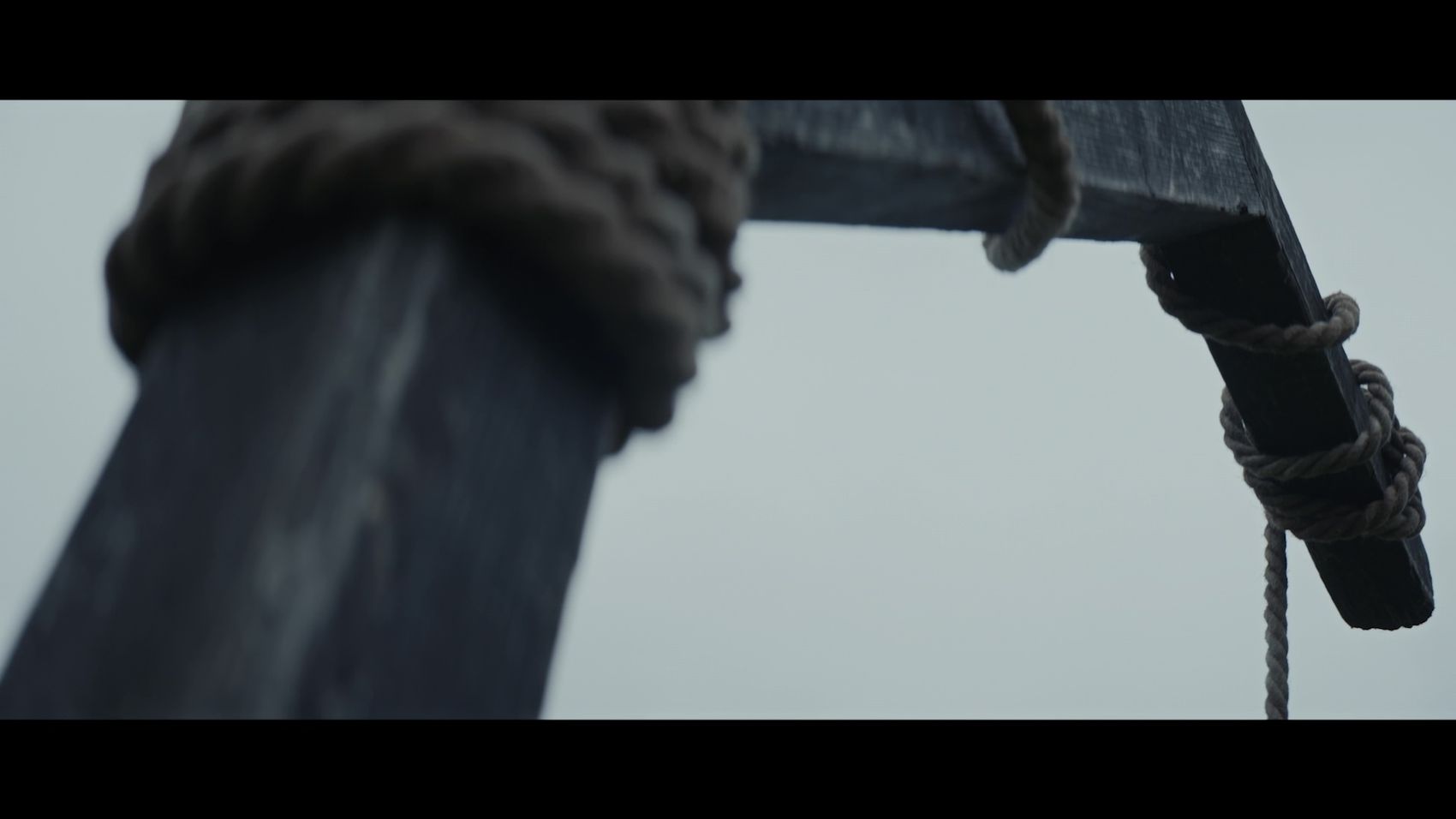 Witches - ThemisCollection