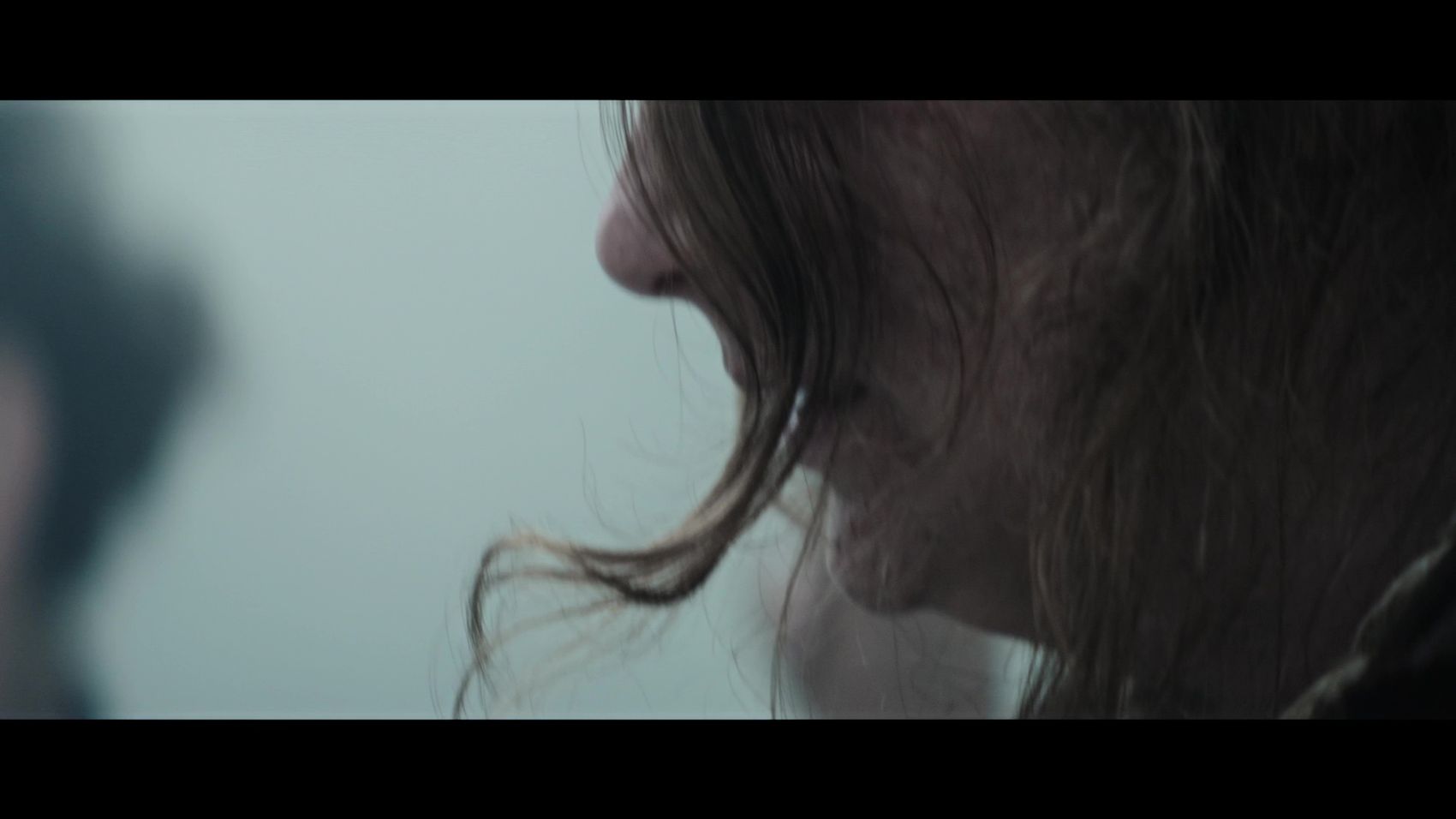 Witches - ThemisCollection