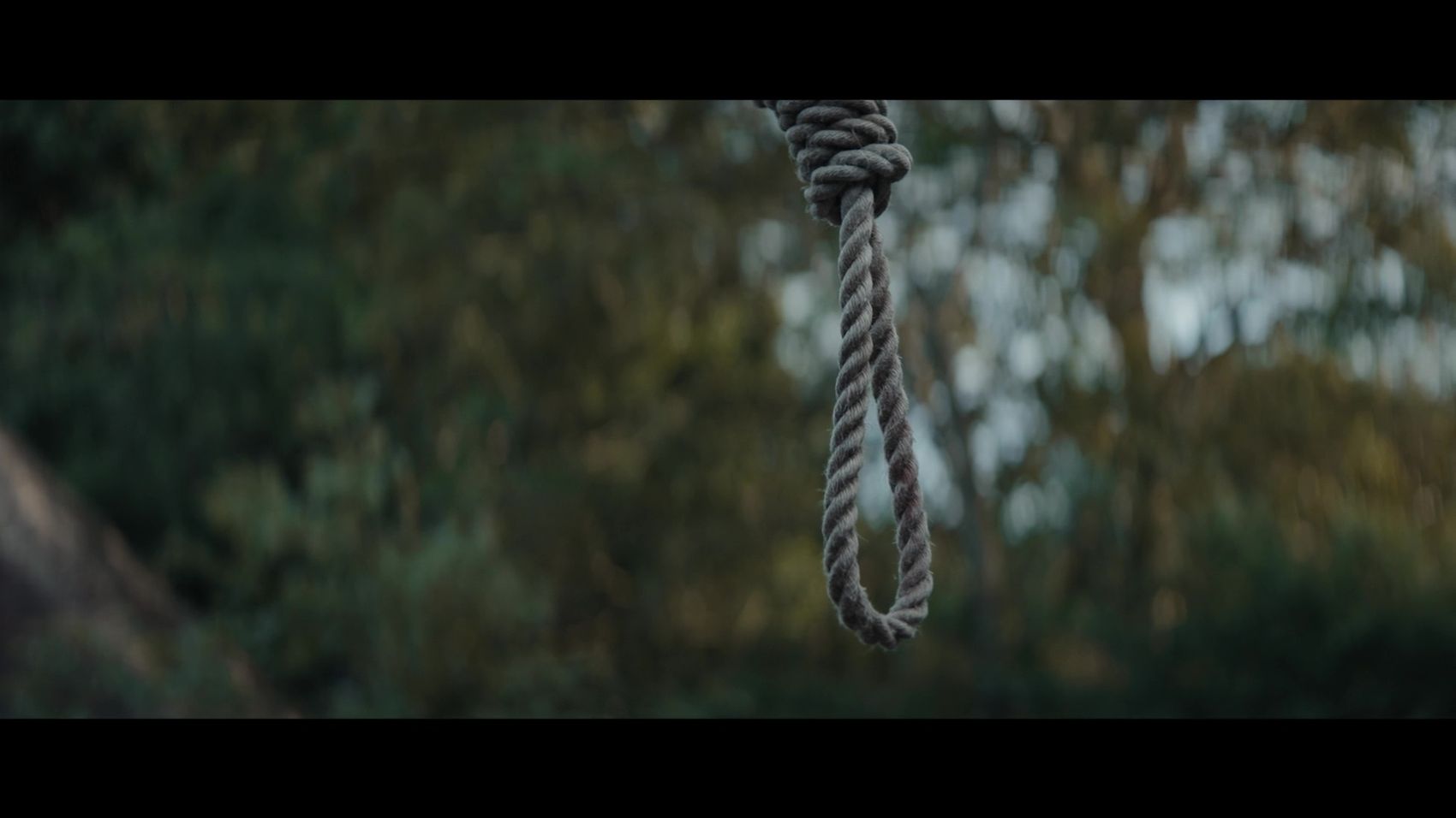 Witches - ThemisCollection