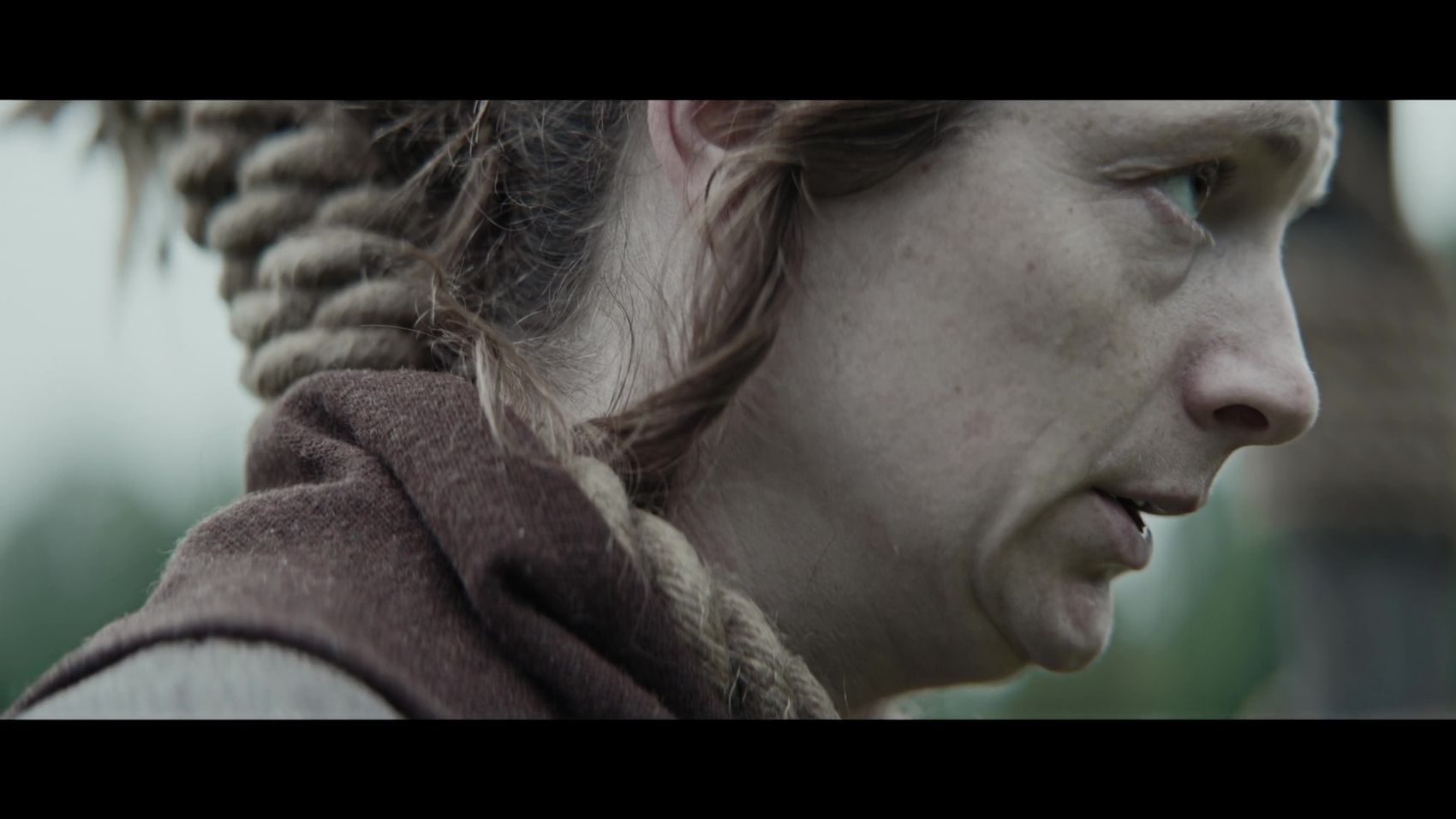 Witches - ThemisCollection